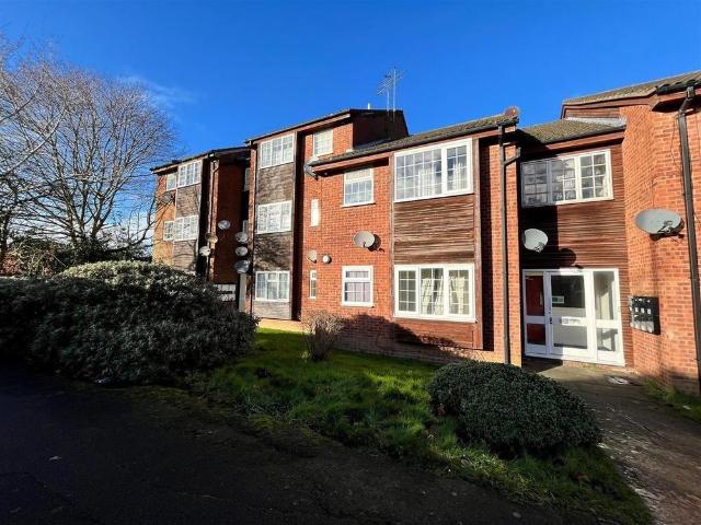 1 bedroom property to rent