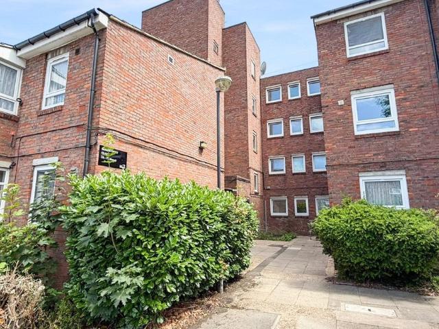 1 bedroom property to rent