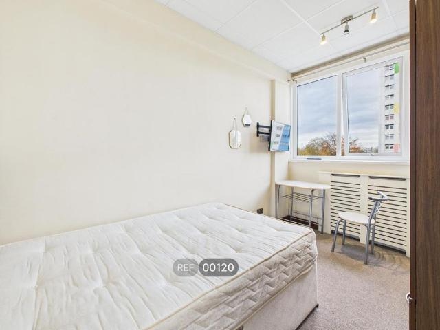 1 bedroom property to rent