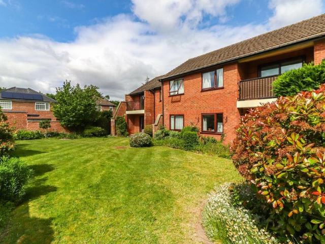 1 bedroom property to rent
