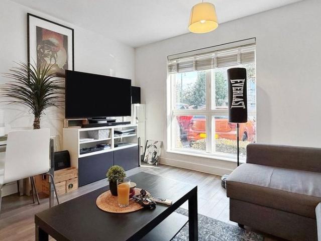 1 bedroom property to rent