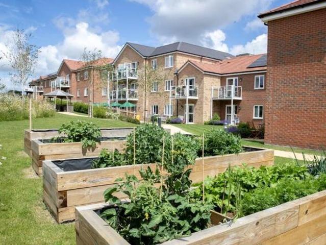 1 bedroom retirement property for rent in Barnsdale Drive, Westcroft, Milton Keynes, Buckinghamshire, MK4 4DU, MK4
