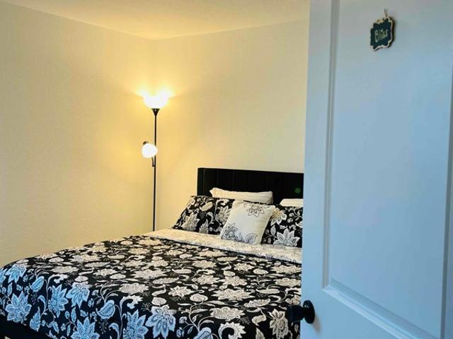 1 Bedroom Rental in BastropTX_$mo