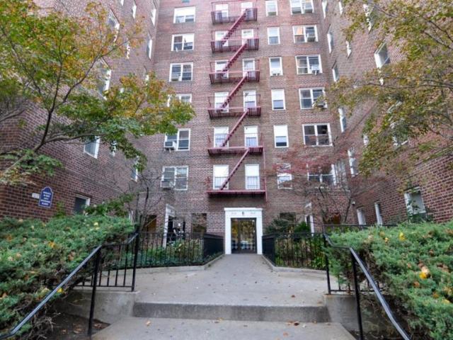 1 bedroom, Woodside NY 11377 102591568