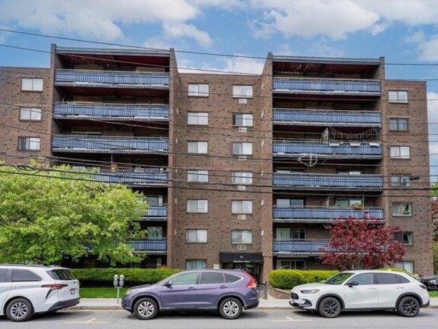 1 bedroom, Watertown MA 02472 102480034