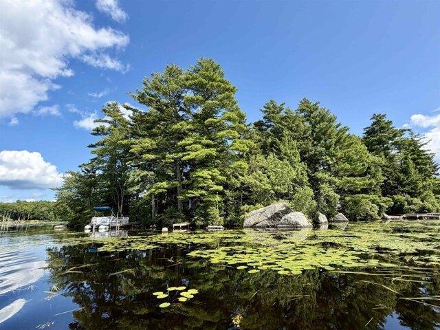 1 bedroom, Washington NH 03280 105144787
