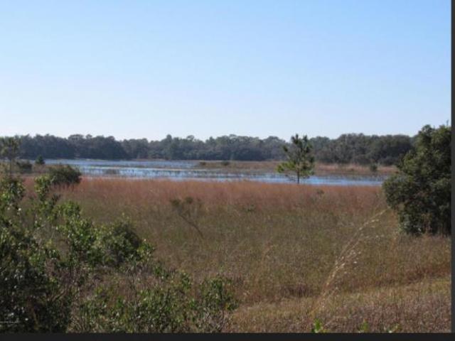1 bedroom, Weeki Wachee FL 34613 78111298