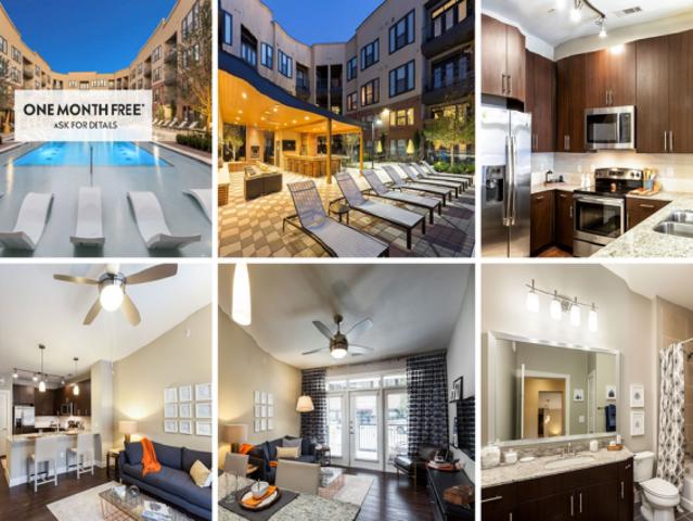 1 bedroom, West Plano TX 75093 77109004