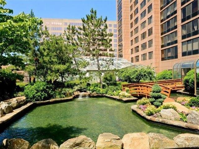 1 bedroom, White Plains NY 10606 105190208