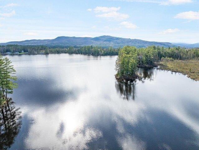 1 bedroom, Whitefield NH 03598 103969224