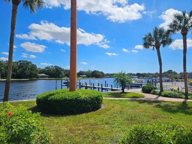 1 bedroom, Tampa FL 33607 104900663