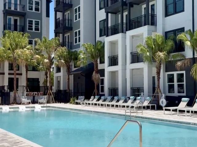 1 bedroom, Tampa FL 33634 87460832