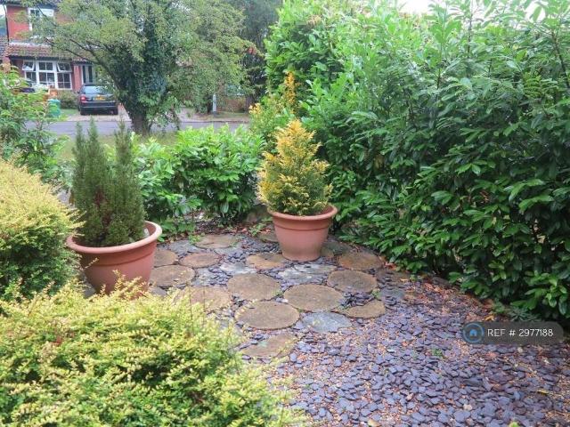 1 bedroom terraced house to rent