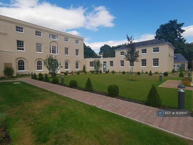 1 bedroom terraced house to rent
