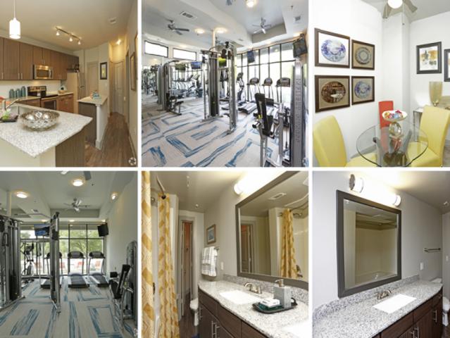 1 bedroom, Uptown Dallas/Medical District TX 75219 77110801