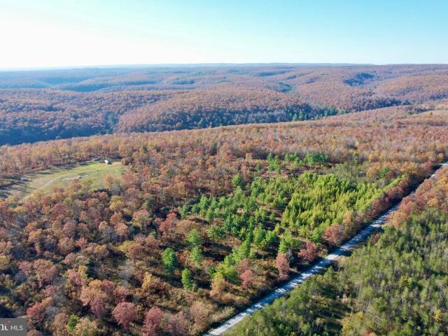 1 Beech Creek Mountain Road