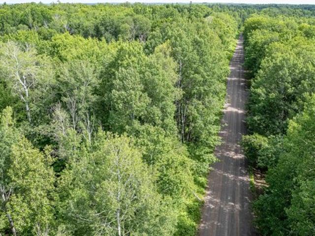 1 Bent Trout Lake Rd, Barnum, MN 55707