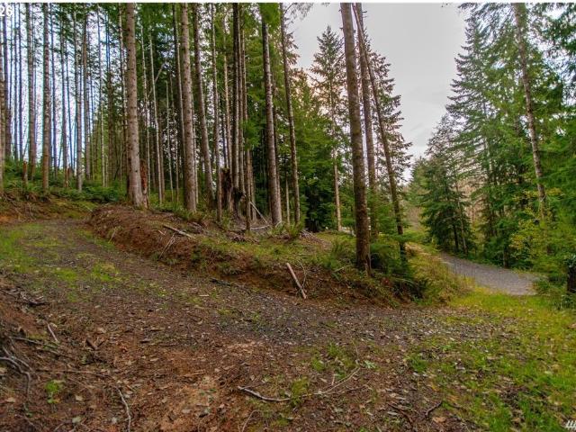 1 Bison Run, Longview, WA 98632 | MLS #198533 | Compass