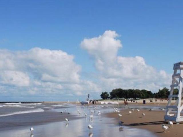 1 BR apartment across BEACH BIKE RUN PATH LUC