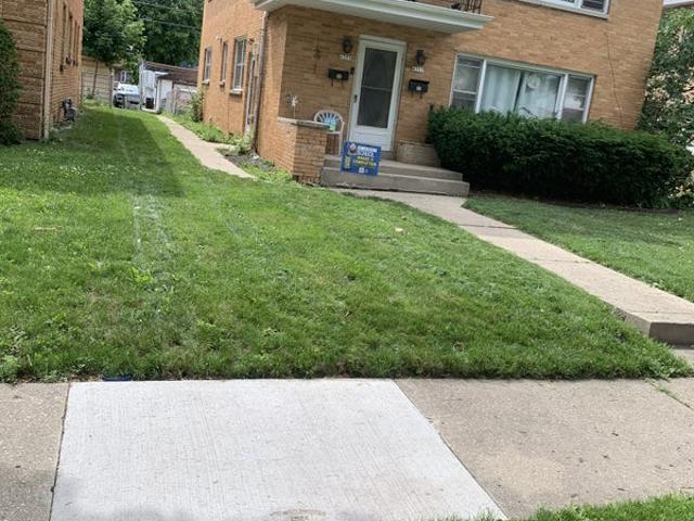 1 BR basement apartment