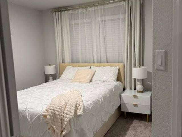 1 BR in Houston