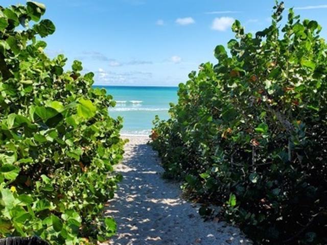1 BR, 1.5 BA Apartment 1605 U S Route 1, Unit F203, Jupiter, FL 33477