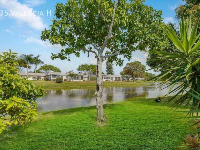 1 BR, 1.5 BA Apartment 175 Valencia H, Delray Beach, FL 33446