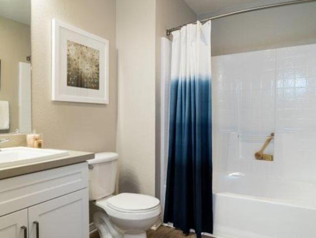 1 Br, 1 bath, Apartment 1001 Starbuck St