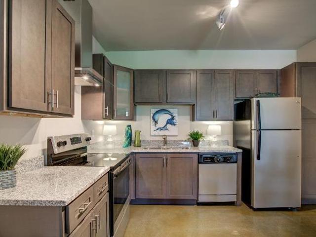 1 Br, 1 bath, Apartment 100 Comet Creek Ln