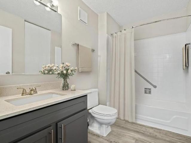 1 Br, 1 bath, Apartment 100 Forest Place