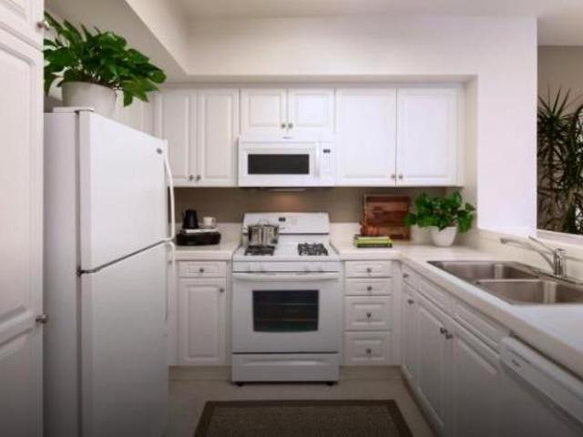 1 Br, 1 bath, Apartment 100 Piedmont