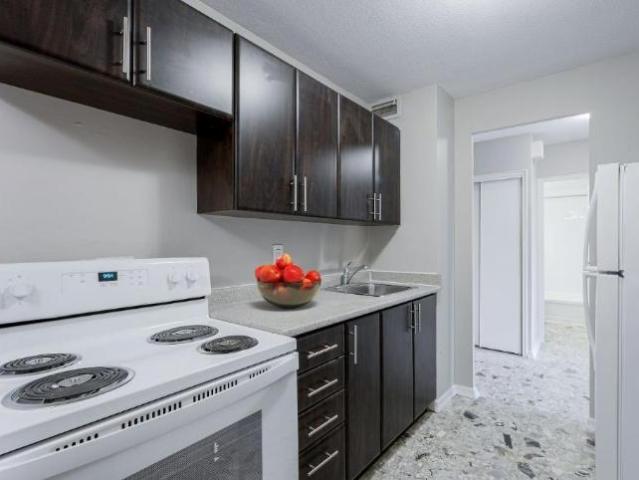 1 Br, 1 bath, Apartment 100 Roehampton Ave