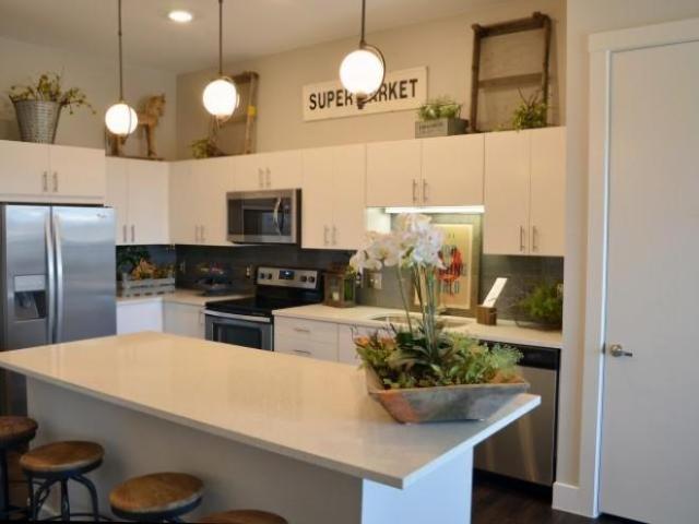 1 Br, 1 bath, Apartment 1011 S Pearl Expy