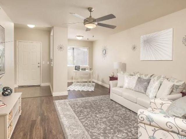 1 Br, 1 bath, Apartment 10333 N Oracle Rd