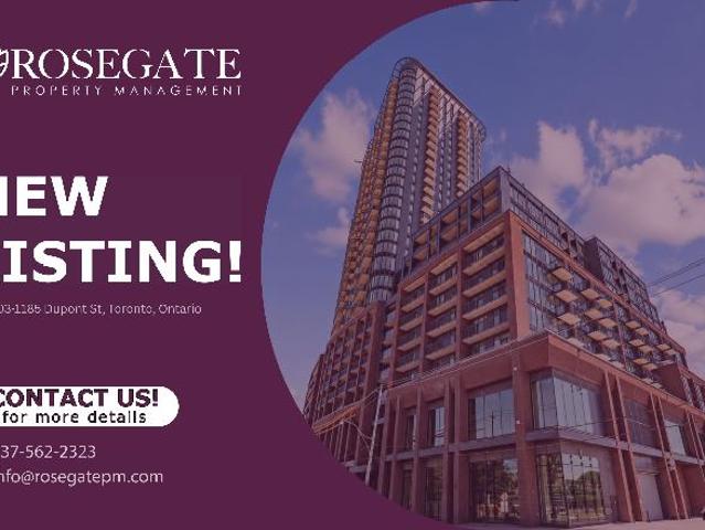 1 Br, 1 bath, Apartment 1185 Dupont Street