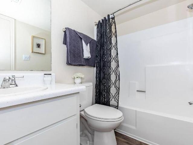 1 Br, 1 bath, Apartment 1101 N Gilbert Rd