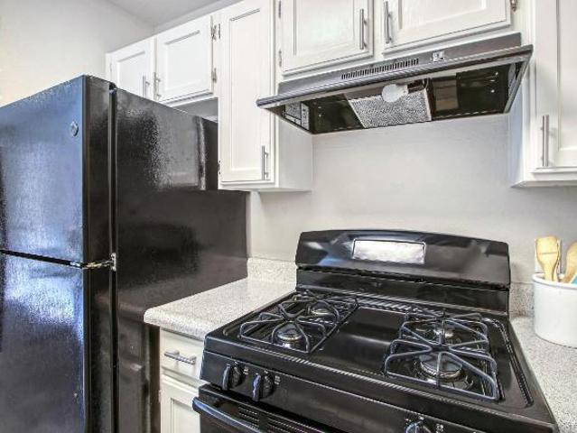 1 Br, 1 bath, Apartment 1105 E Ponderosa Pkwy