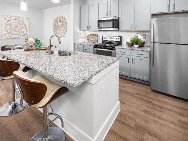 1 Br, 1 bath, Apartment 1110 Mason Pond Pl