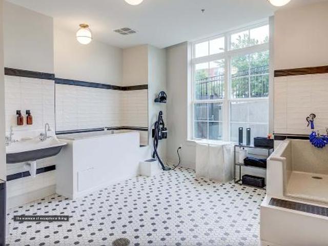 1 Br, 1 bath, Apartment 1115 S Mint St