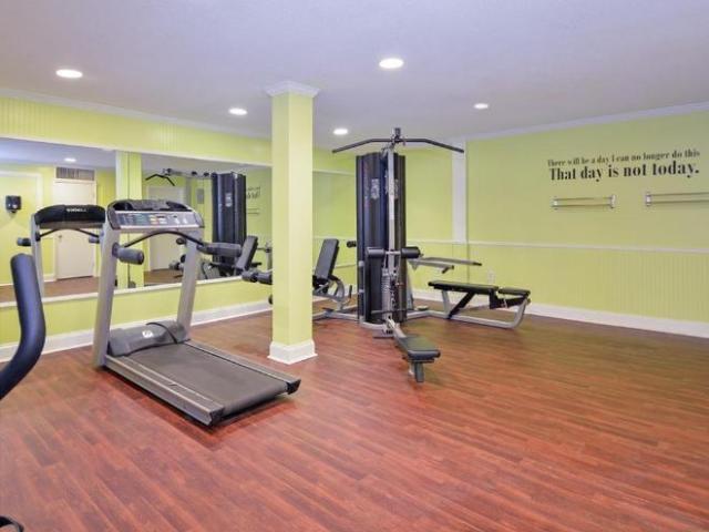 1 Br, 1 bath, Apartment 1116 Scaleybark Rd