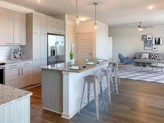 1 Br, 1 bath, Apartment 1133 Commerce Drive