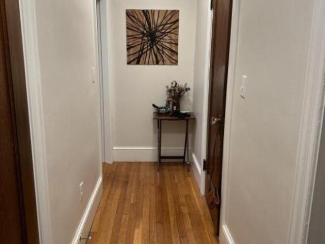 1 Br, 1 bath, Apartment 11 Shepley St