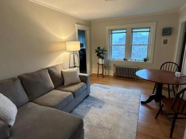 1 Br, 1 bath, Apartment 11 Shepley St