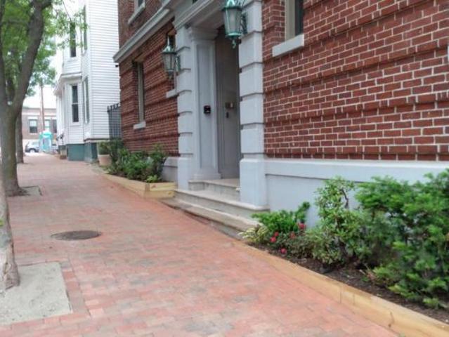 1 Br, 1 bath, Apartment 11 Shepley St