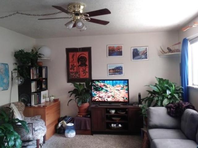 1 Br, 1 bath, Apartment 1250 Elder Ave