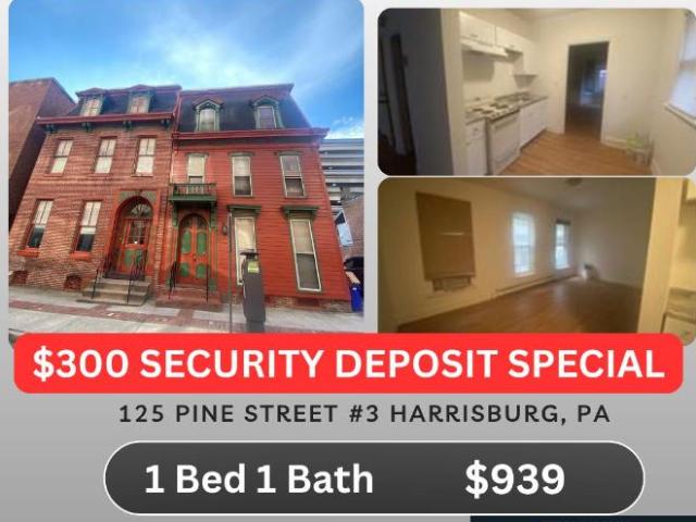 1 Br, 1 bath, Apartment 125 Pine Street