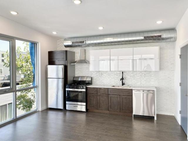 1 Br, 1 bath, Apartment 1233 North Franklin Street