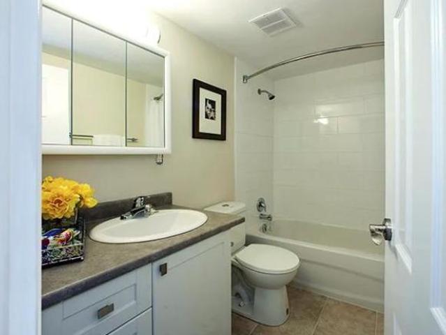 1 Br, 1 bath, Apartment 12 Rockford Rd