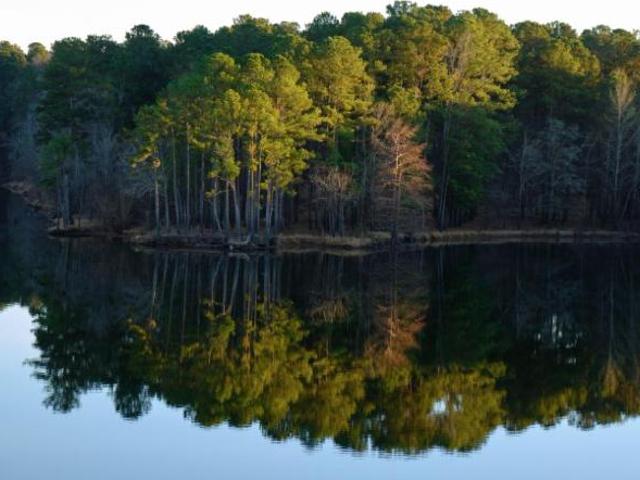 1 Br, 1 bath, Apartment 135 Ballentrae Ct