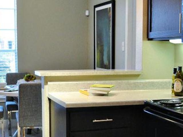 1 Br, 1 bath, Apartment 13050 Champions Park Dr
